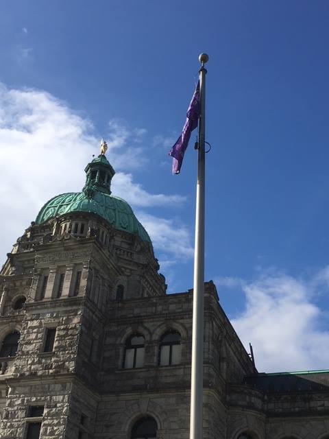 WEAAD 2018 Slideshow - CNPEA